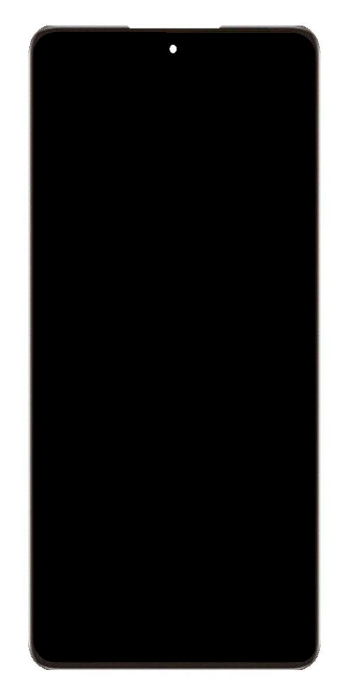 LCD Screen for Realme GT 2 Explorer Master - Replacement Display by ...