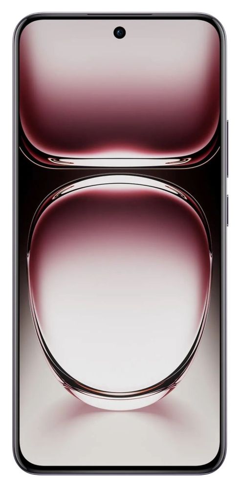 Oppo Reno 12 Pro Spare Parts & Accessories by Maxbhi.com