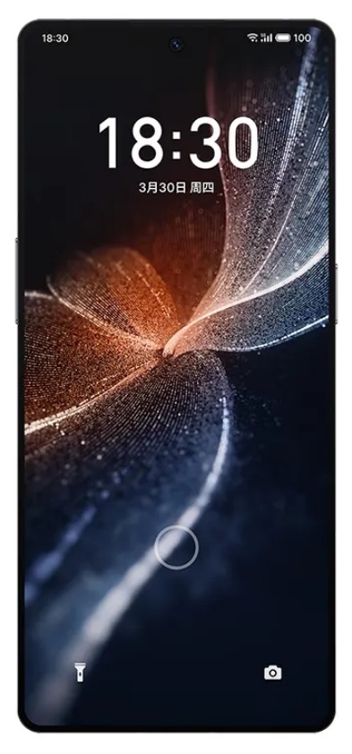 How much cost to repair Meizu 20 Infinity display screen in India ...